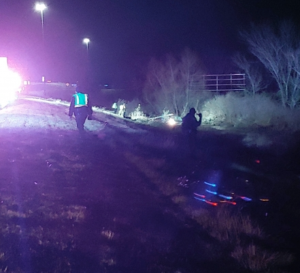 Kansas woman rescued from water after deer carcass crash