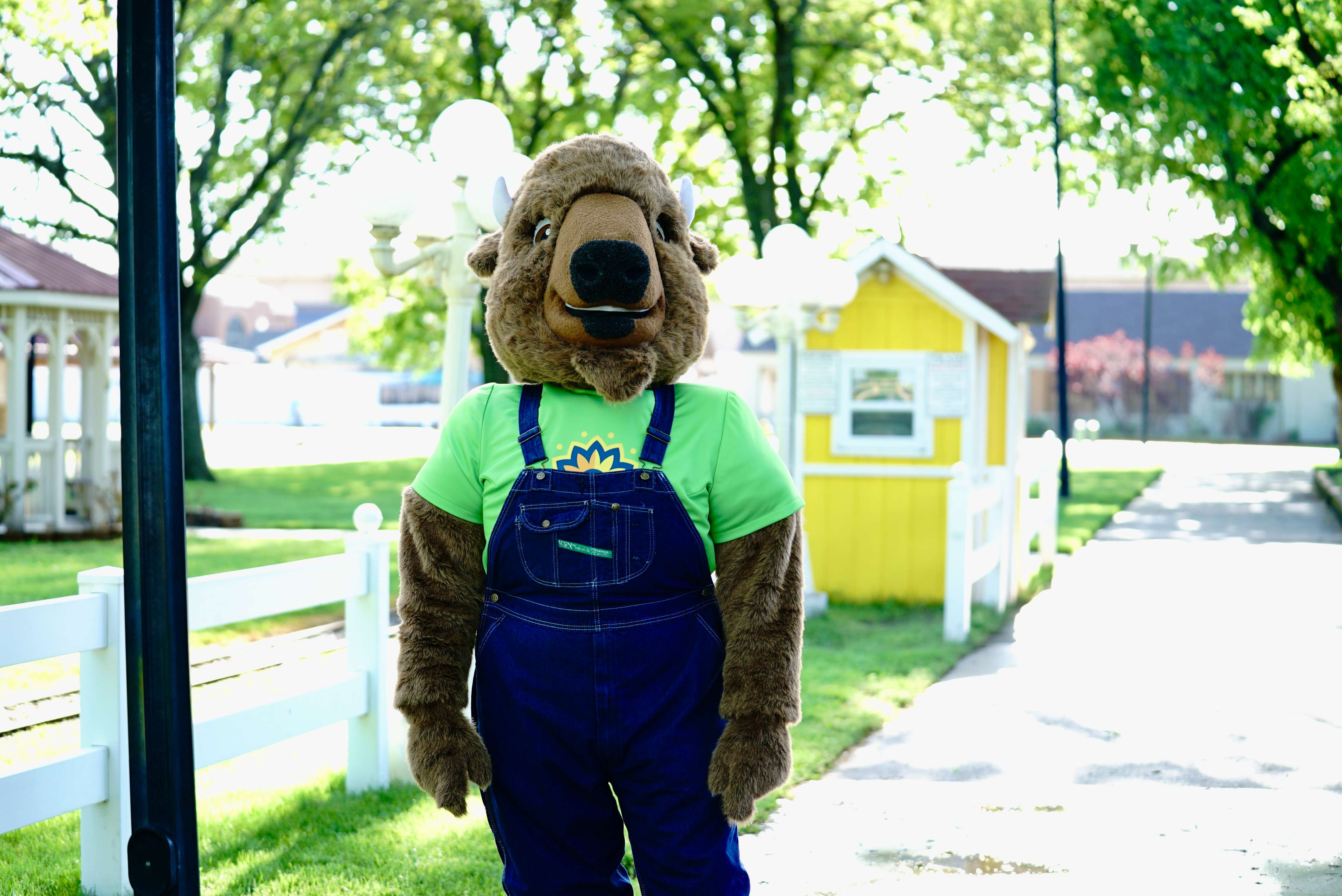 🎥 Gov. appoints Ike official mascot of the Kansas State Fair