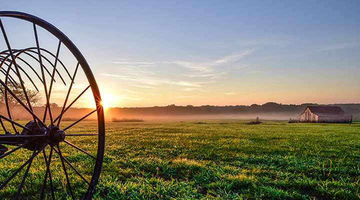 Wild About Kansas photo contest going on now