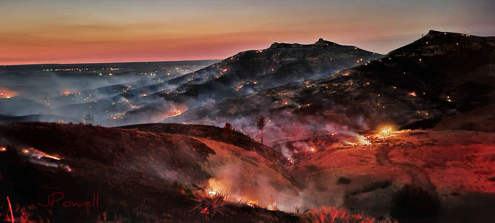 Wildlife officials observing effects from Panhandle wildfires