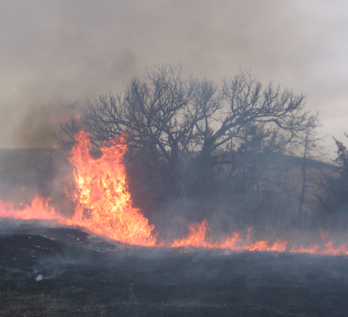 Winds, humidity to combine for dangerous fire weather Saturday