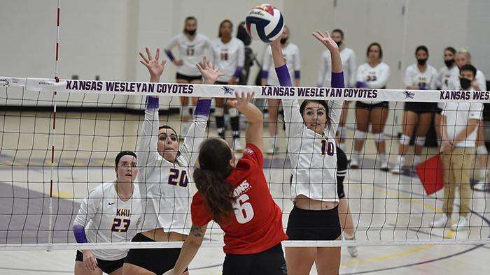 Coyote volleyball sweeps Friends in Mabee Arena
