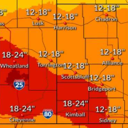 Winter storm to impact the Panhandle, more than a foot of snow