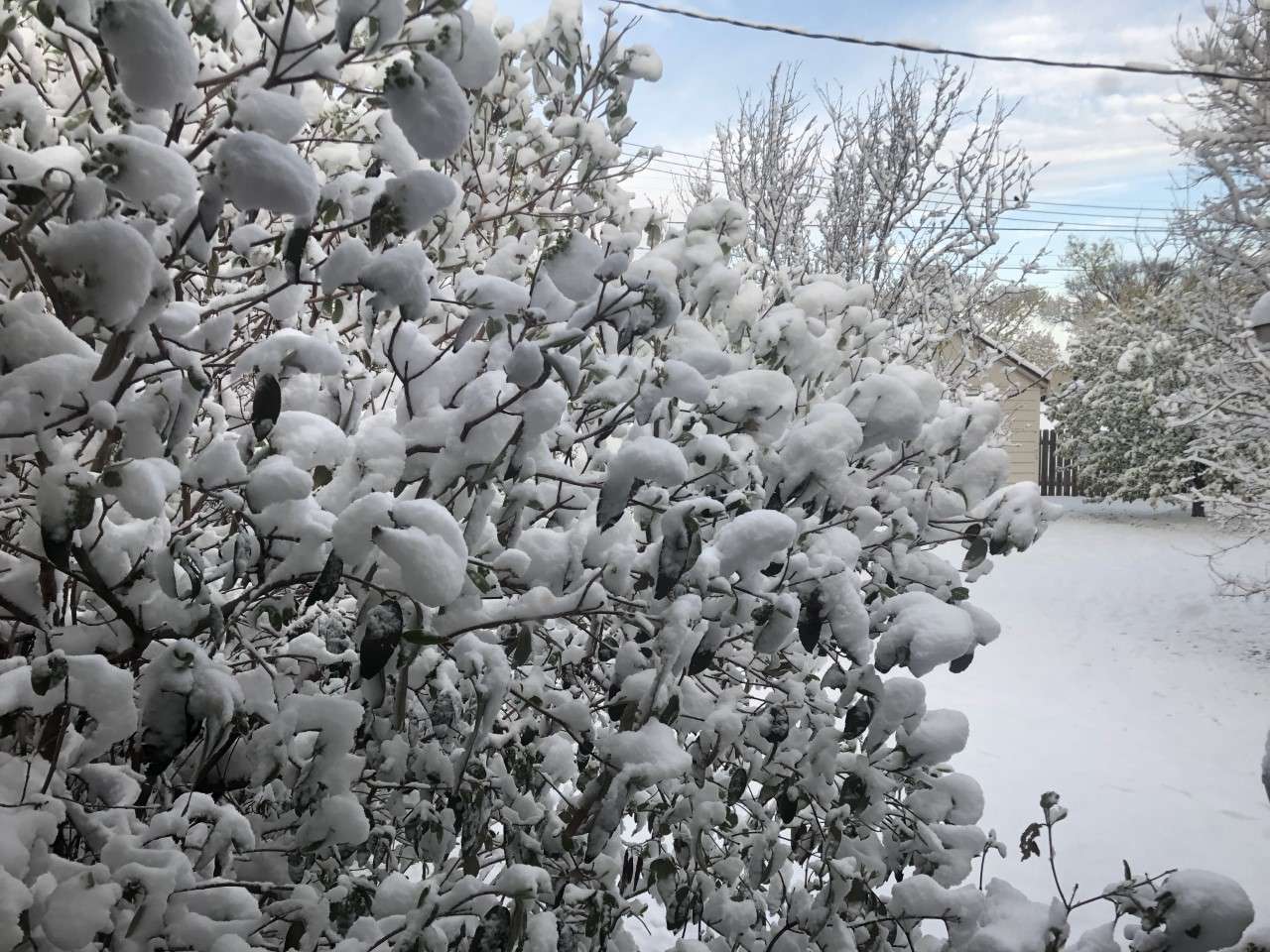 Six inches of spring snow falls in Hays