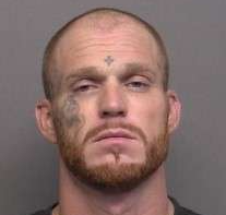 Sheriff's K-9 captures Kansas theft, drug suspect