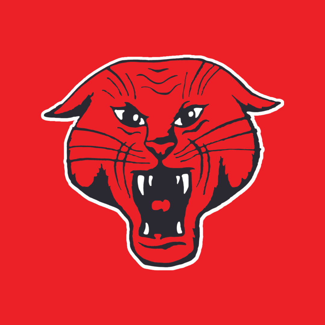 Snapshot Preview: Ellsworth vs. Haven