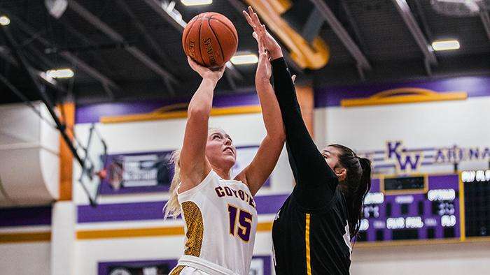 Coyote Corner: Caila Hill