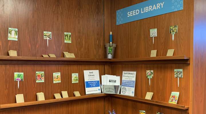 Seed library a small gesture that blossomed