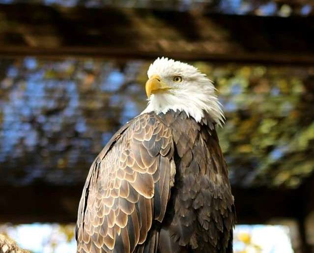 Eagle Radio's News Week in Review