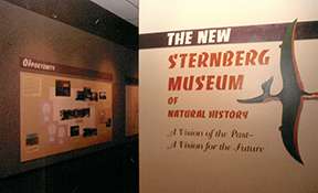 Sternberg time capsule to be unveiled