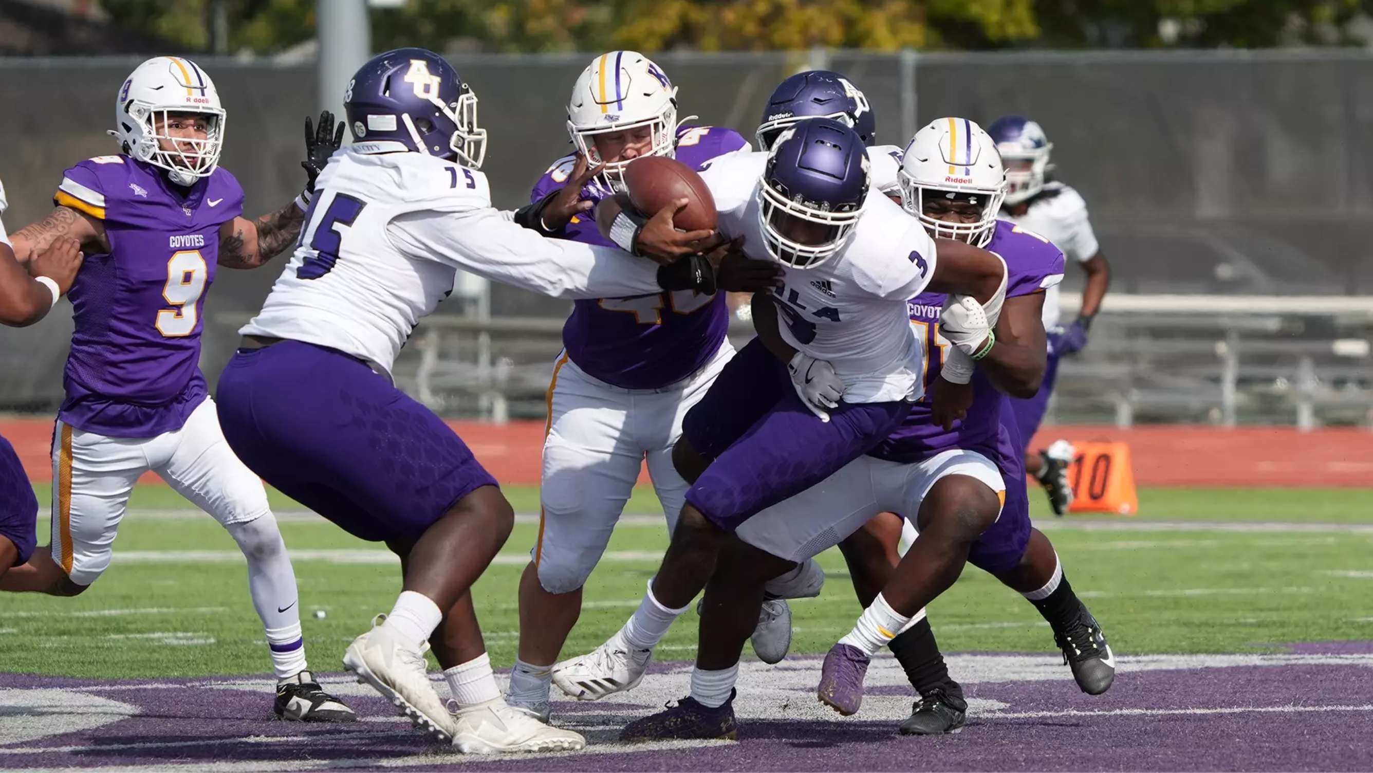 Football hosts Tabor on Saturday in contest between division unbeatens