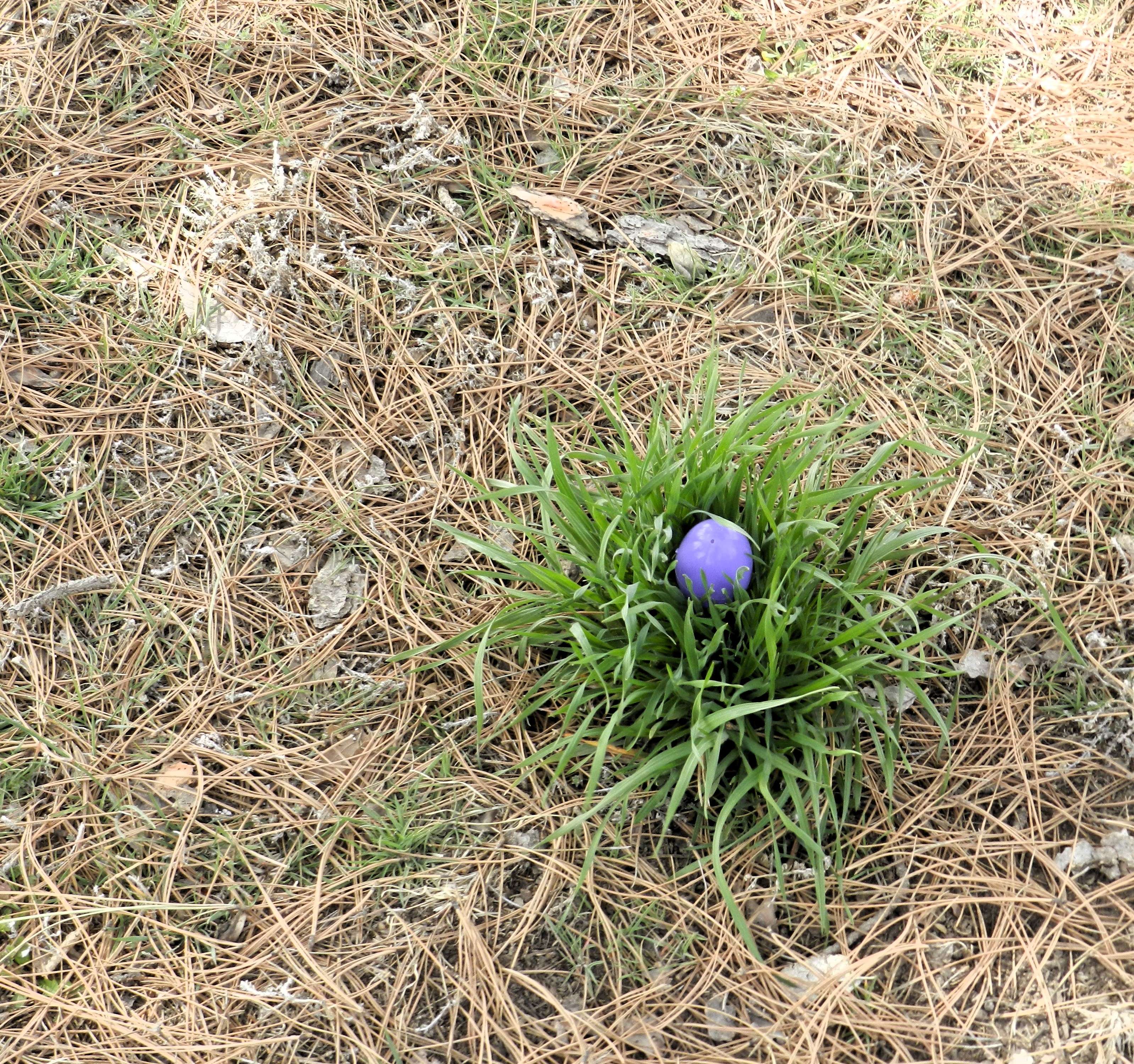 MADORIN: Blame it on gravity