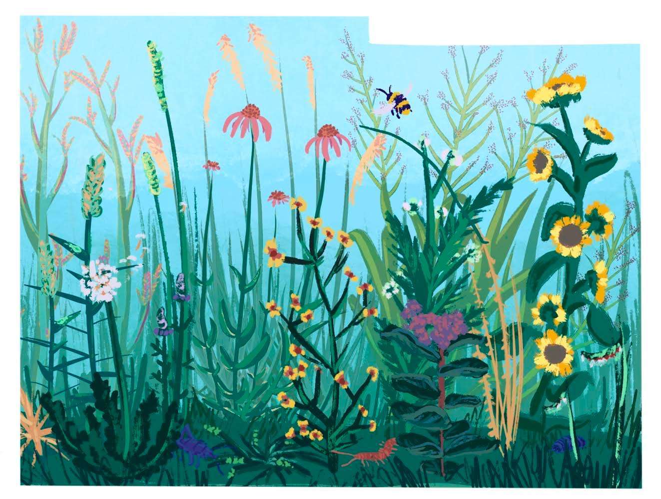 FHSU to create interactive prairie mural in downtown Hays