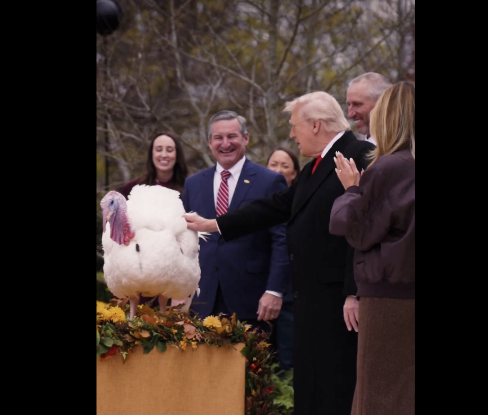 🎥Not much holiday cheer as President pardons Thanksgiving Turkeys