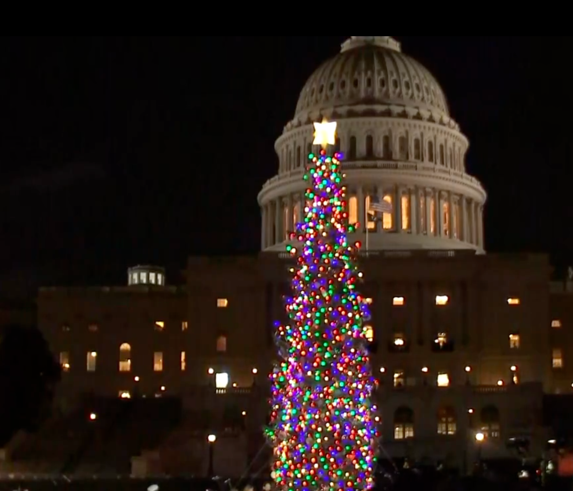 4th grader joins House speaker in lighting U.S. Capitol Christmas tree