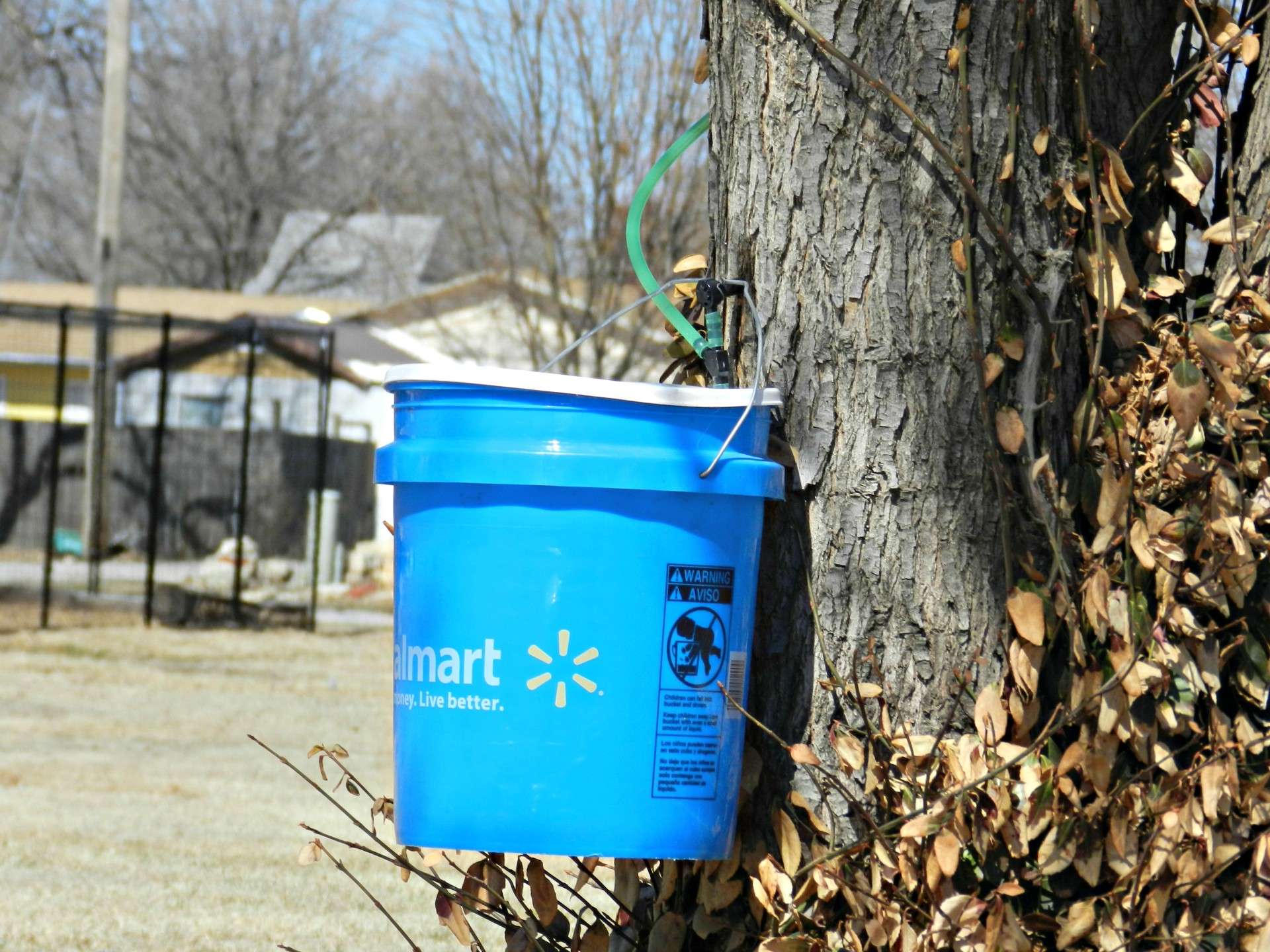 MADORIN: A bucket of sweet possibility