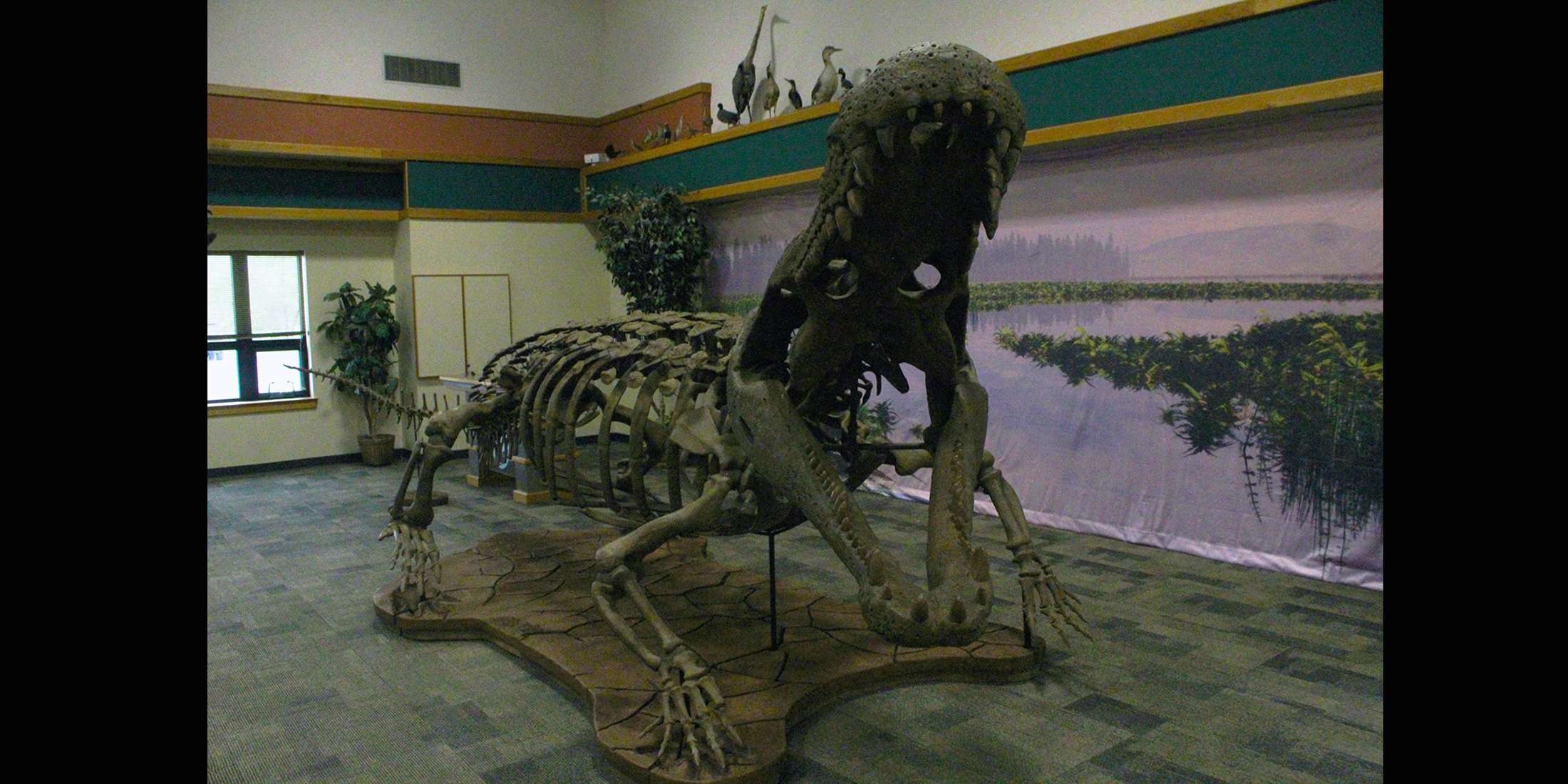 From titans to tiny, Sternberg Museum welcomes 'Armored Animals' exhibit