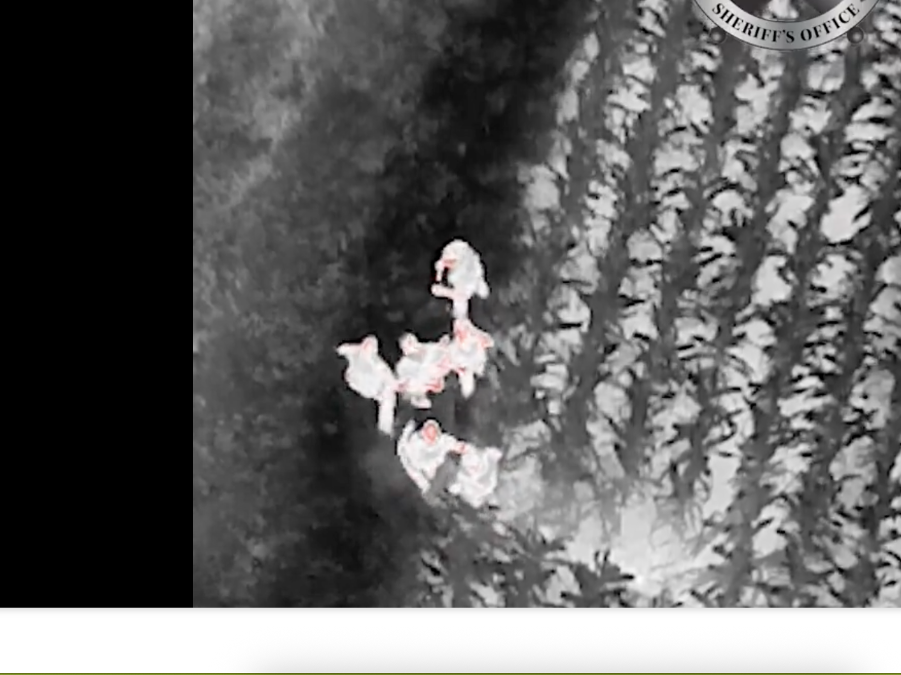 🎥 Kan. deputies use a drone to capture suspect hiding in a field