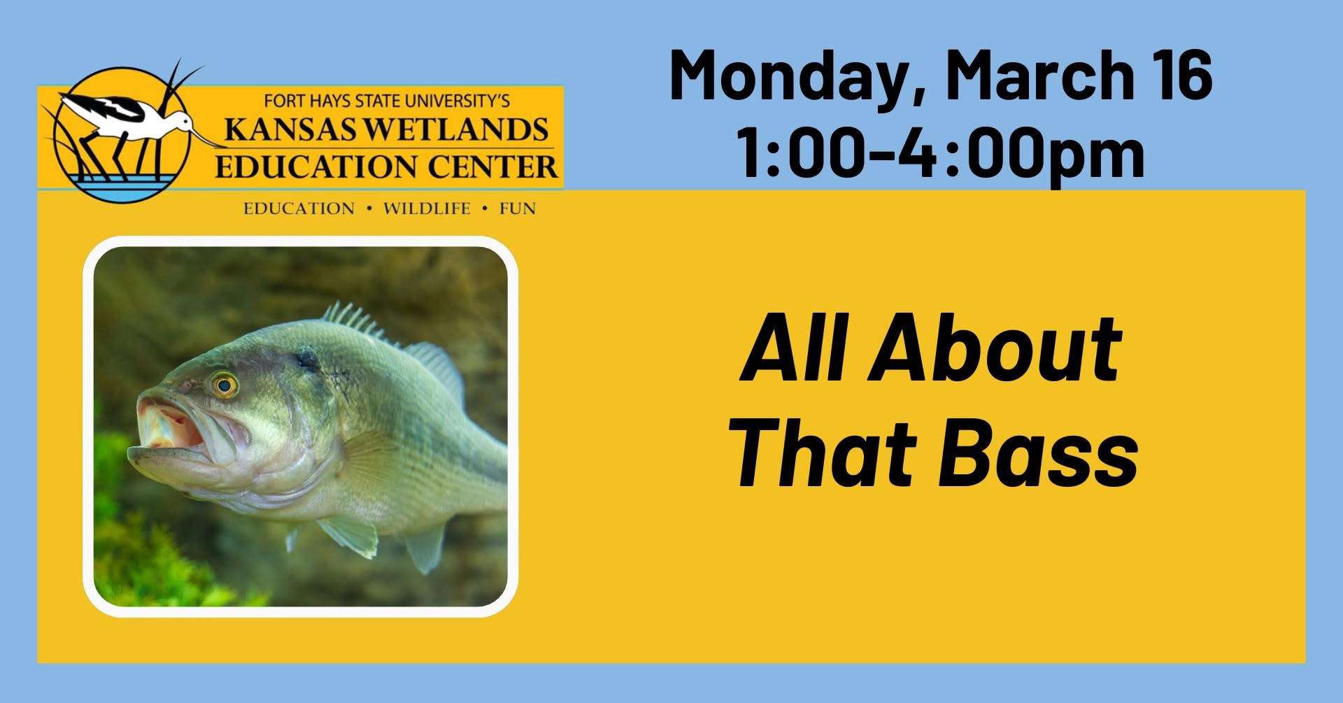 Spring Break At The Wetlands Center March 16th through 20th