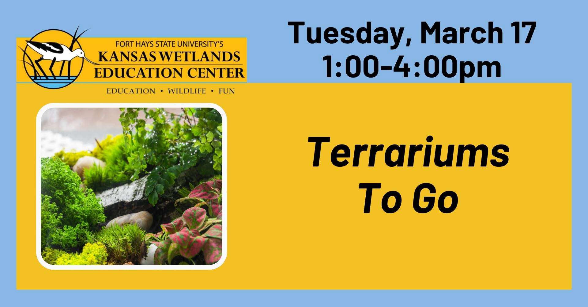 Spring Break At The Wetlands Center March 16th through 20th