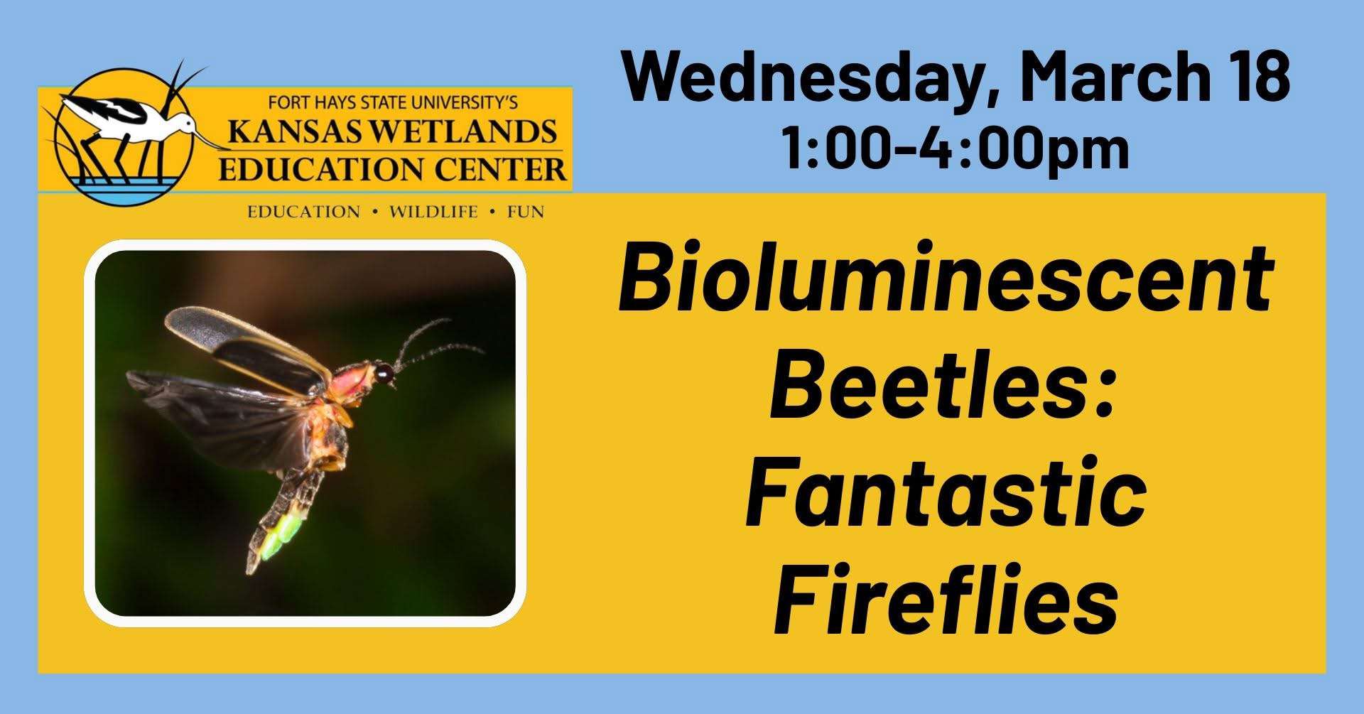 Spring Break At The Wetlands Center March 16th through 20th